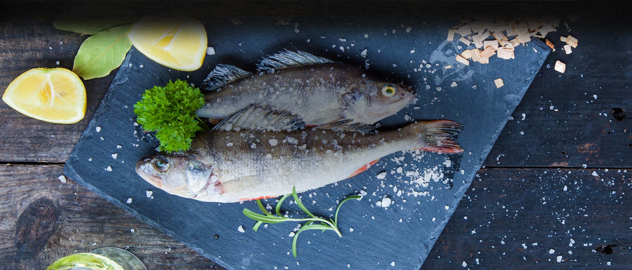 Pheasant Hunting Wisconsin | Farm Raised Perch | Cedar Hill Game Farm